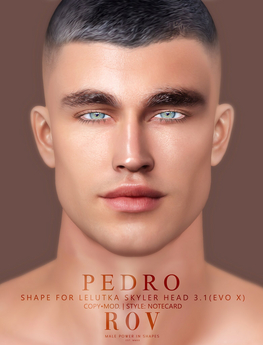 Second Life Marketplace - [ROV] PEDRO SHAPE for Lelutka Skyer 3.1 Evo X ...